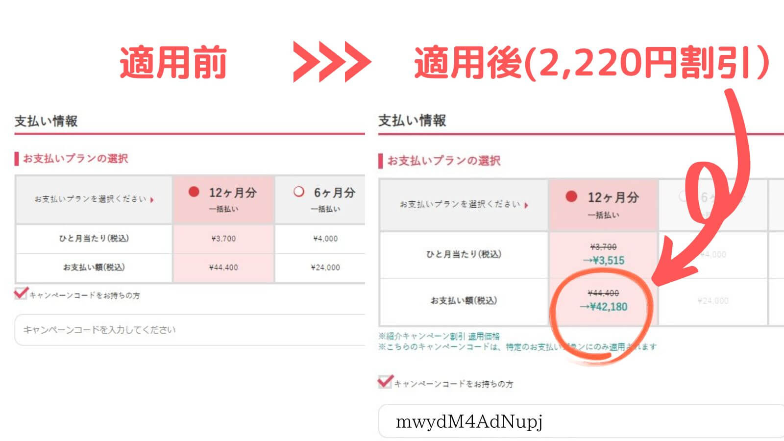 【最新】ワンダーボックスを無料で体験する方法＆小学生の体験レビュー | HISAE BLOG