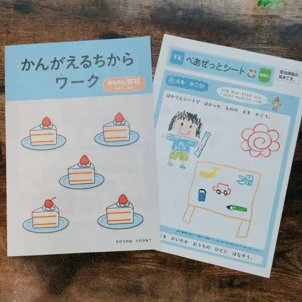 【思考力を伸ばす】Z会でもらえる無料の復習ドリル＆思考力ワーク | HISAE BLOG